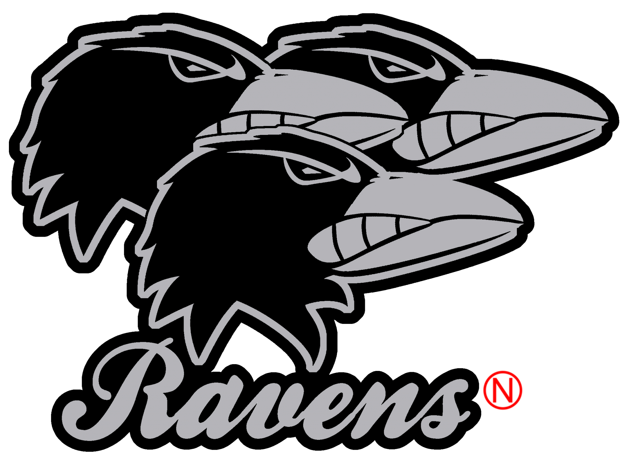 Team Ravens 2018 | Baseballworld